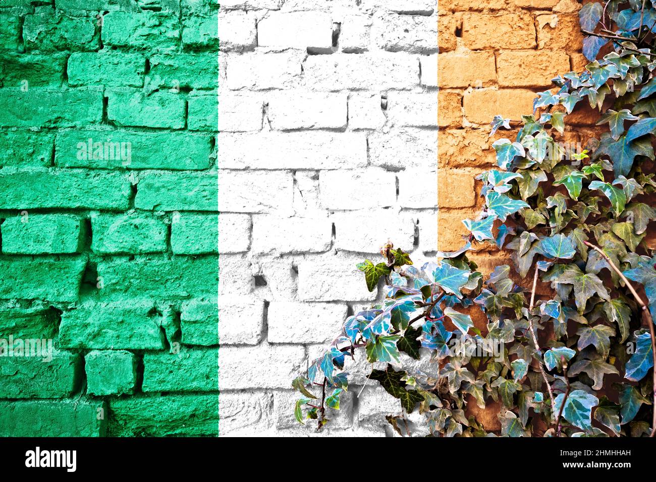 Irish grunge flag on brick wall with ivy plant, country symbol concept ...