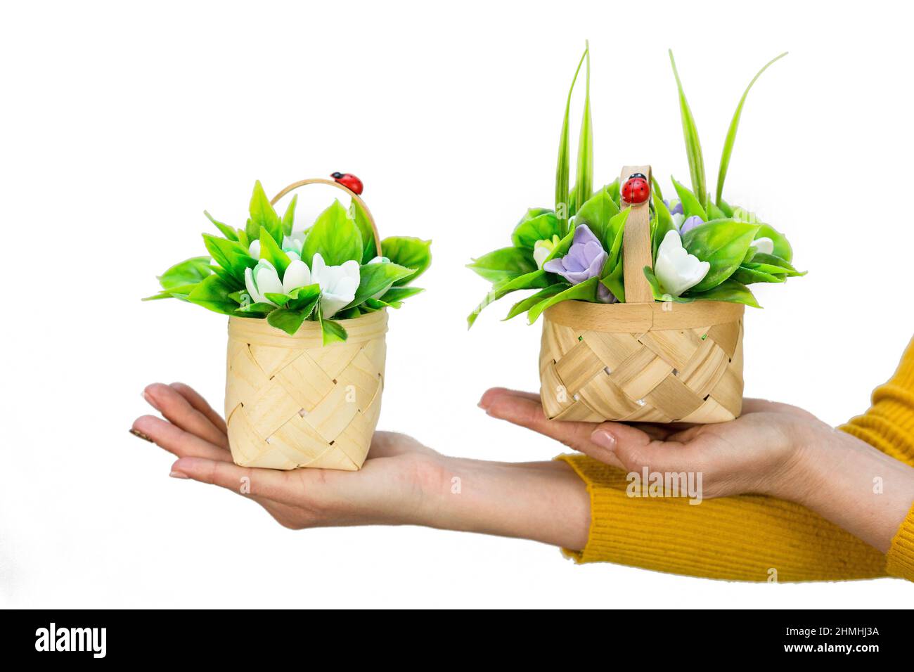A small basket with white handmade soap snowdrops a woman's hand Stock ...