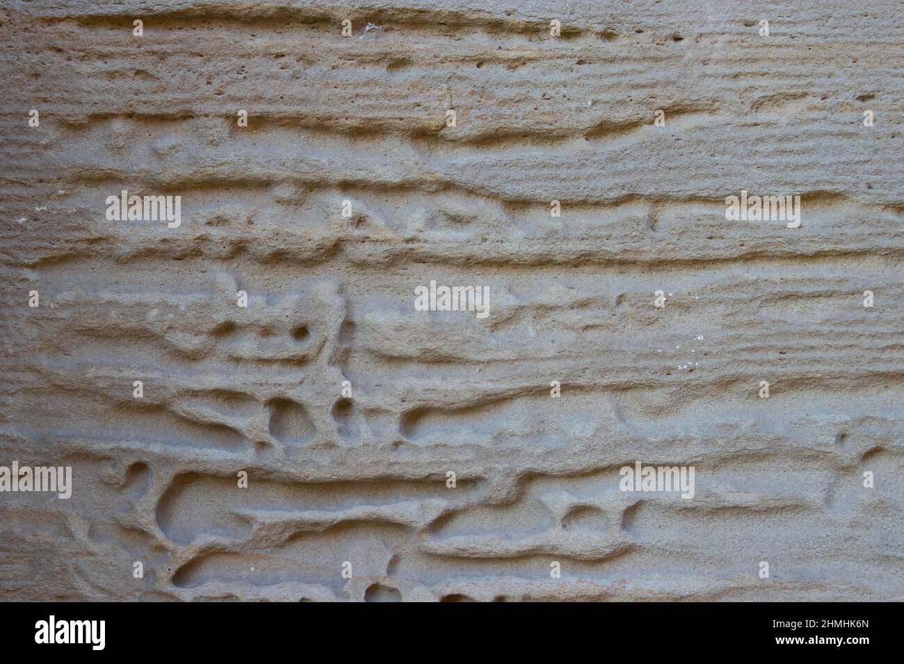Detail of washed out natural brown sandstone texture, full frame for ...