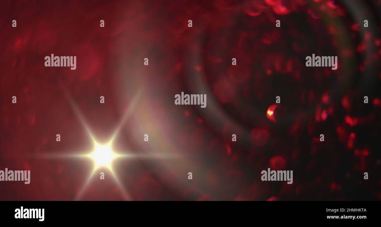 Light spot of light moving against red rose petals shapes on black ...