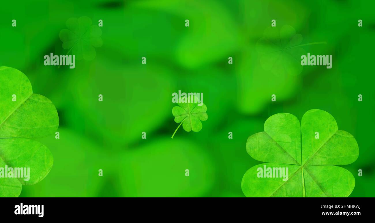 Image of clover leaves falling spinning on green background Stock Photo ...