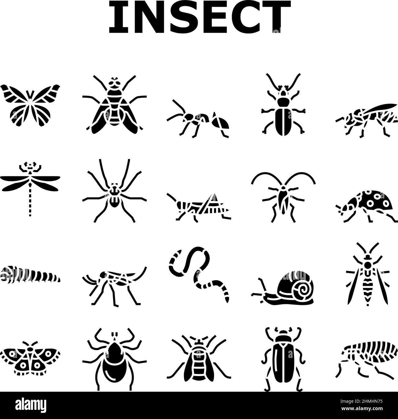 Insect, Spider And Bug Wildlife Icons Set Vector Stock Vector Image ...