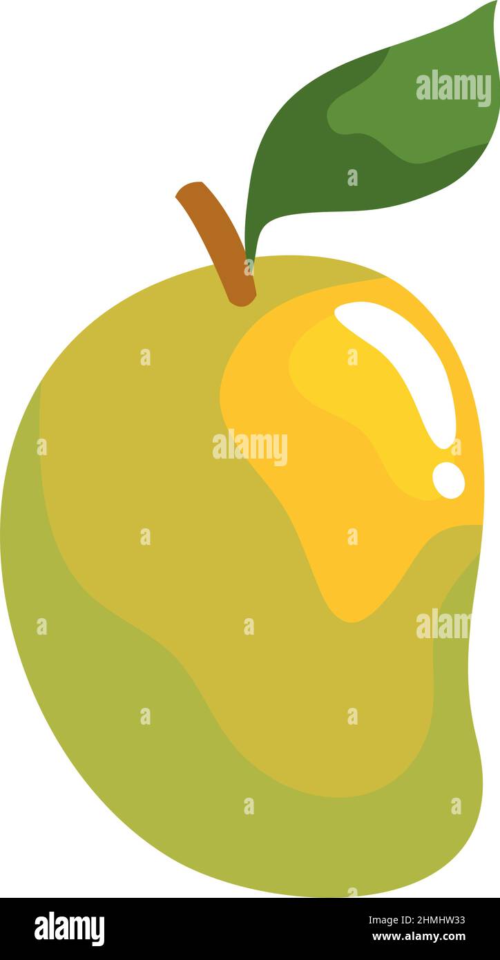 fresh mango fruit Stock Vector Image & Art - Alamy