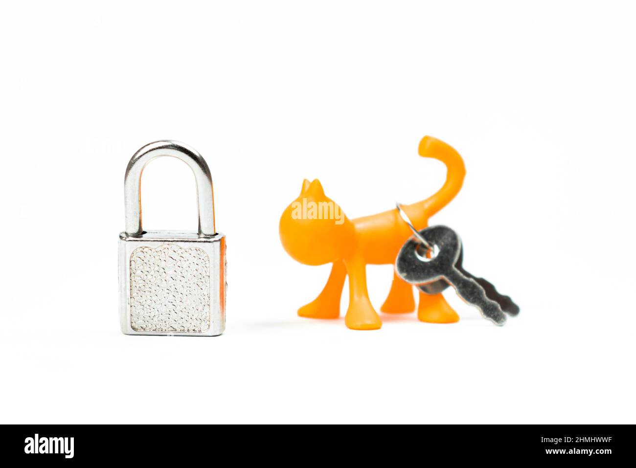 Pet adoption from shelter concept. Animal cat figurines with padlock ...