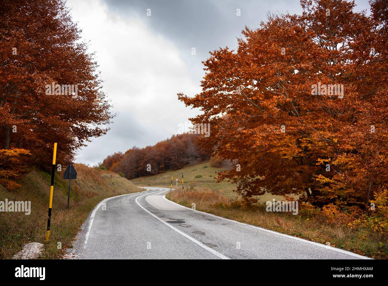 Fall season lanscape with colorful trees and plants Stock Photo - Alamy