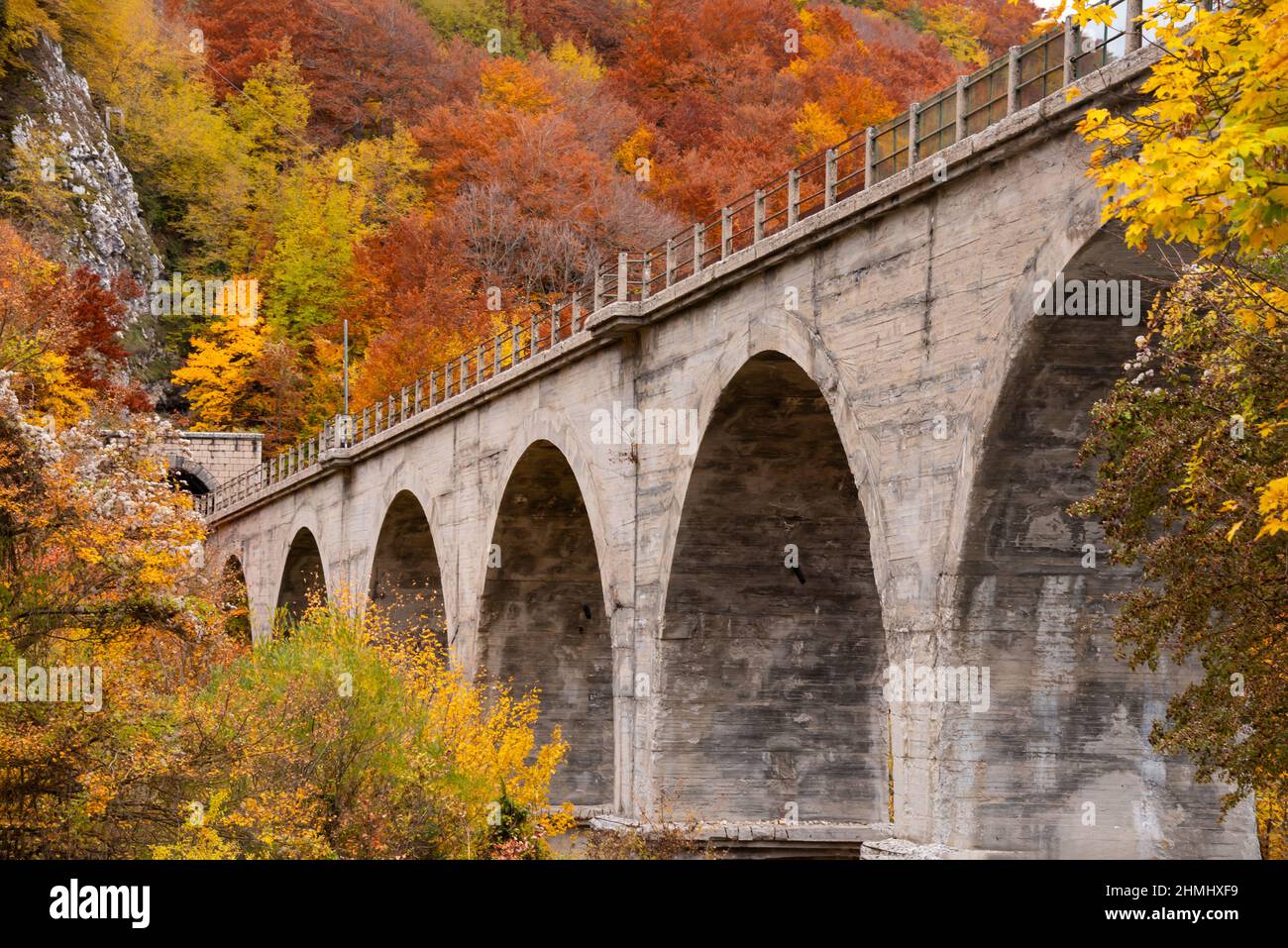 Fall season lanscape with colorful trees and plants Stock Photo - Alamy
