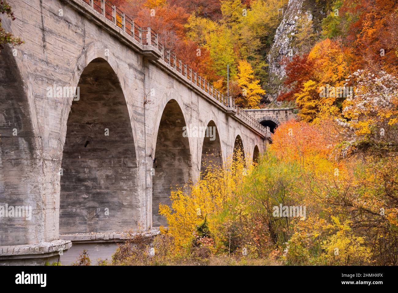 Fall season lanscape with colorful trees and plants Stock Photo - Alamy