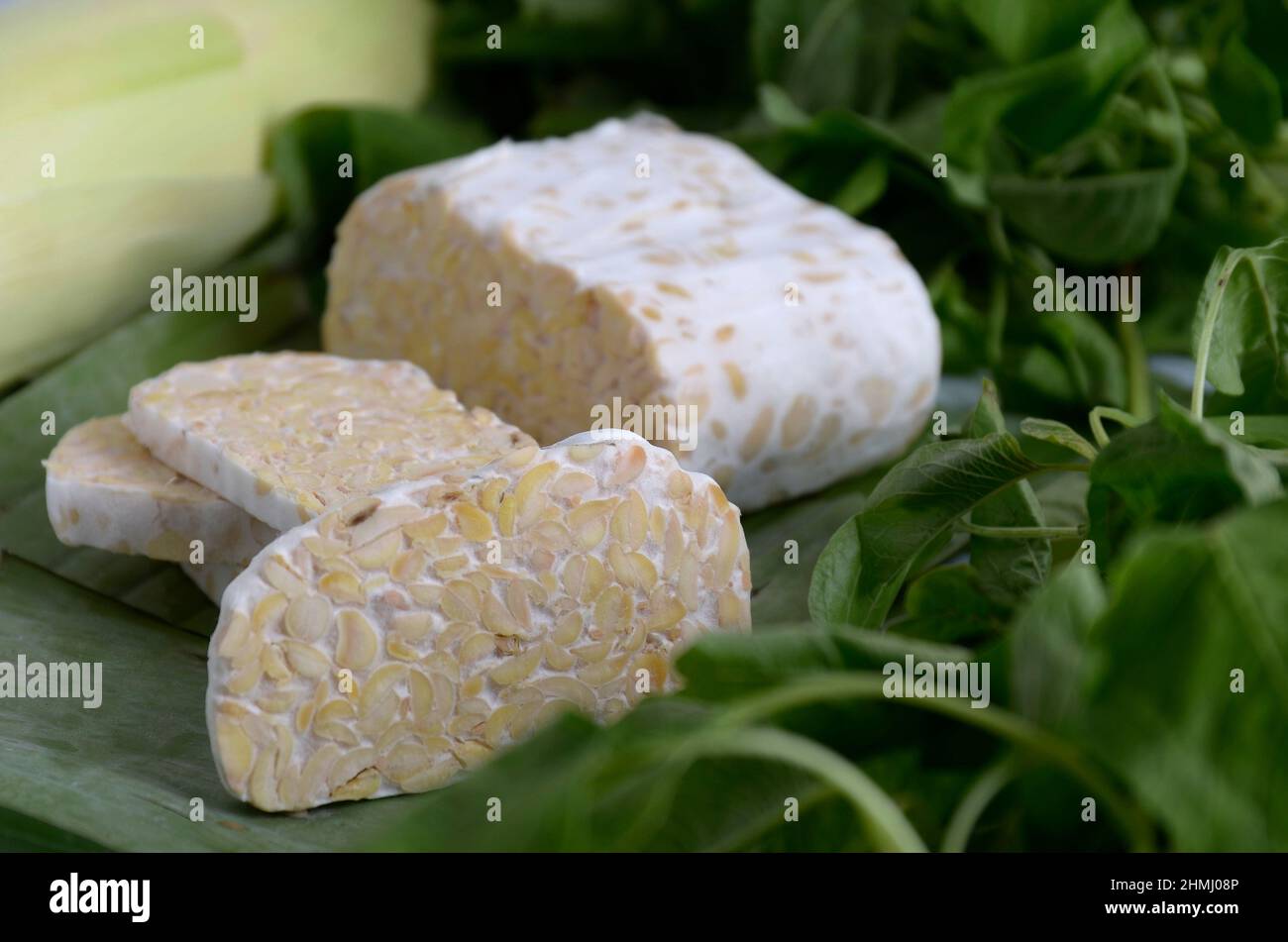 raw tempe or tempeh, Indonesian or asia food from soy bean Stock Photo ...