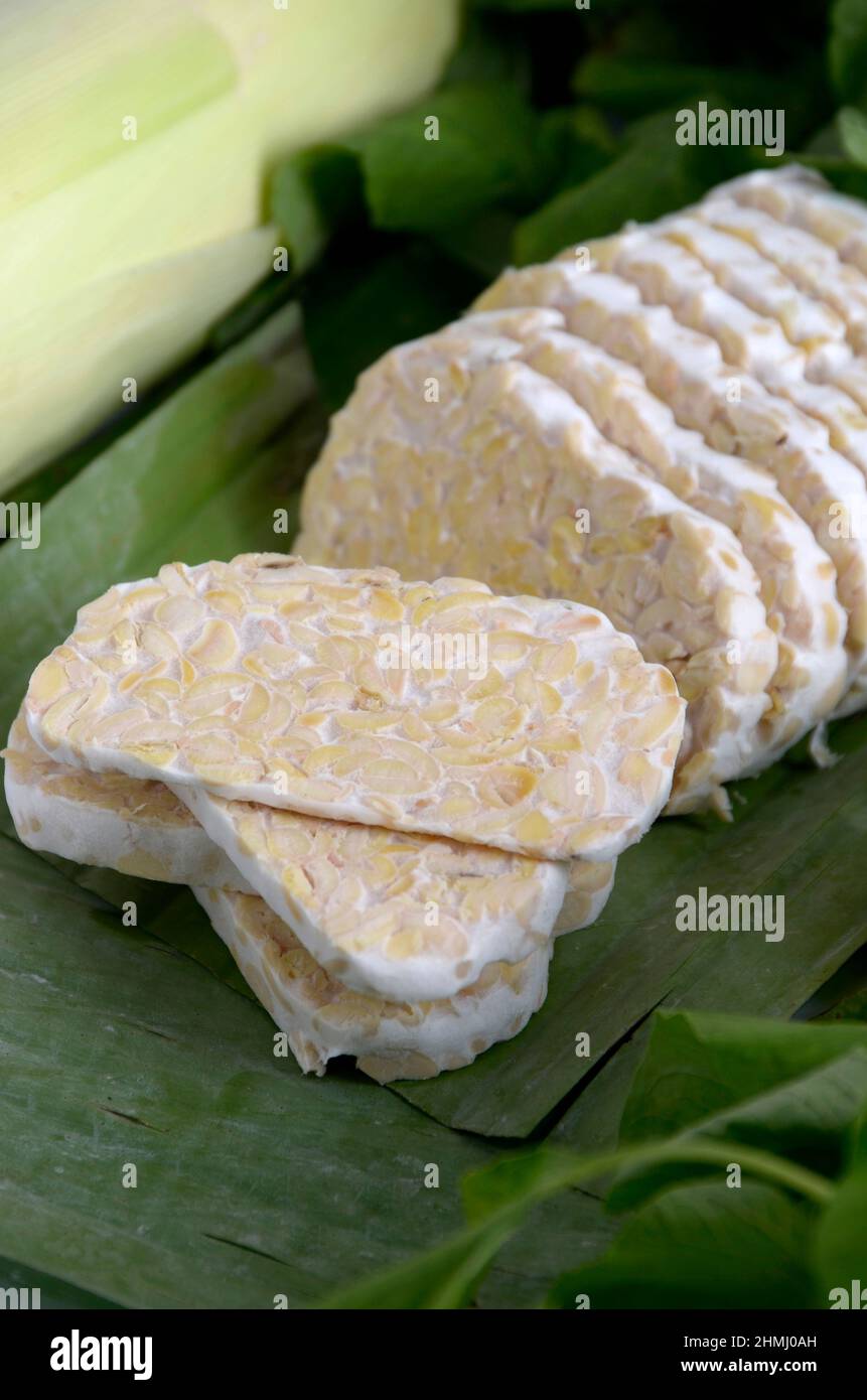 raw tempe or tempeh, Indonesian or asia food from soy bean Stock Photo ...
