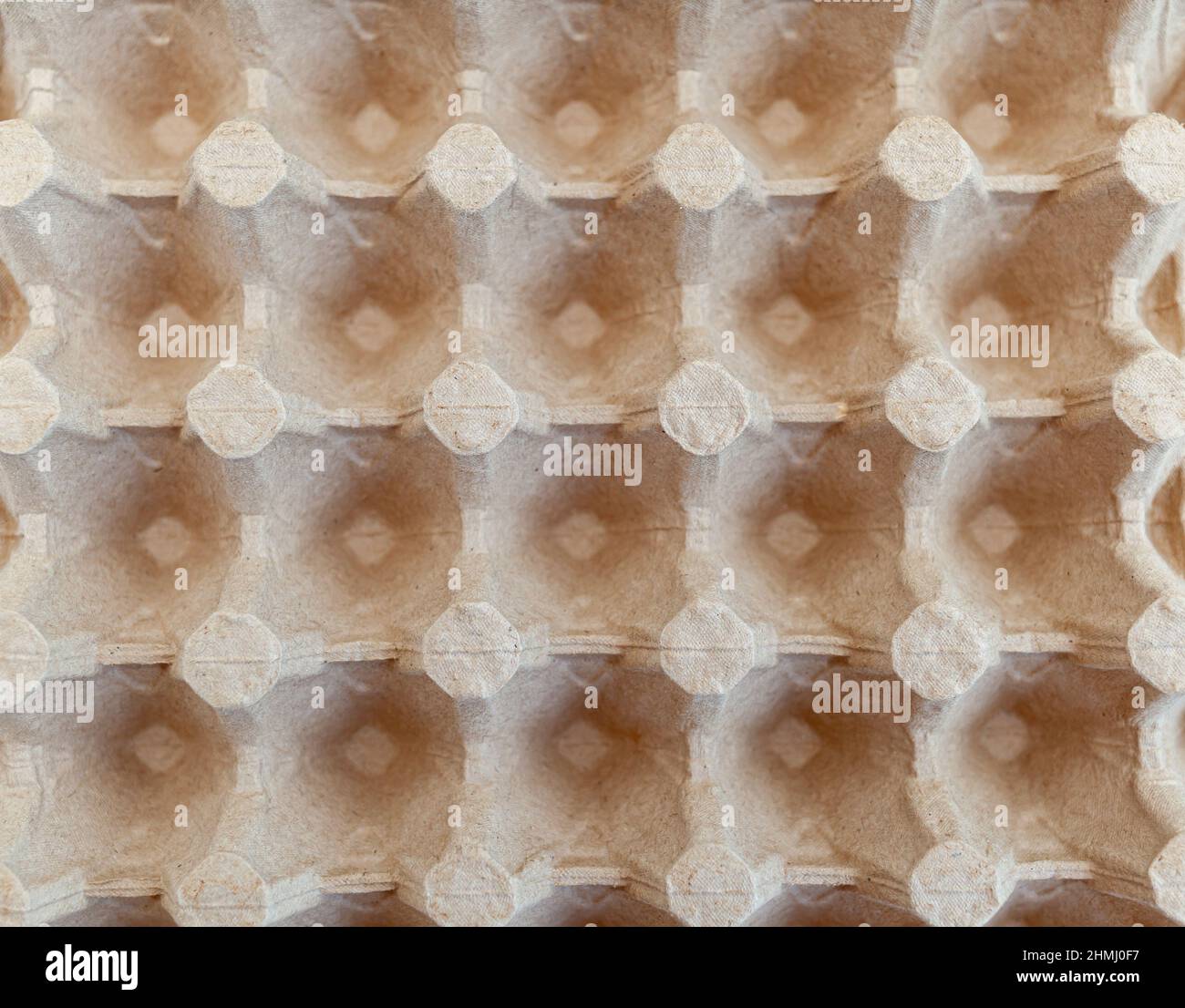 Protective cardboard packaging for storing eggs. Empty biodegradable ...