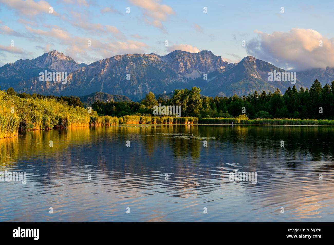 Lake Hopfensee near Fuessen - View of Allgaeu Alps, Bavaria, Germany ...