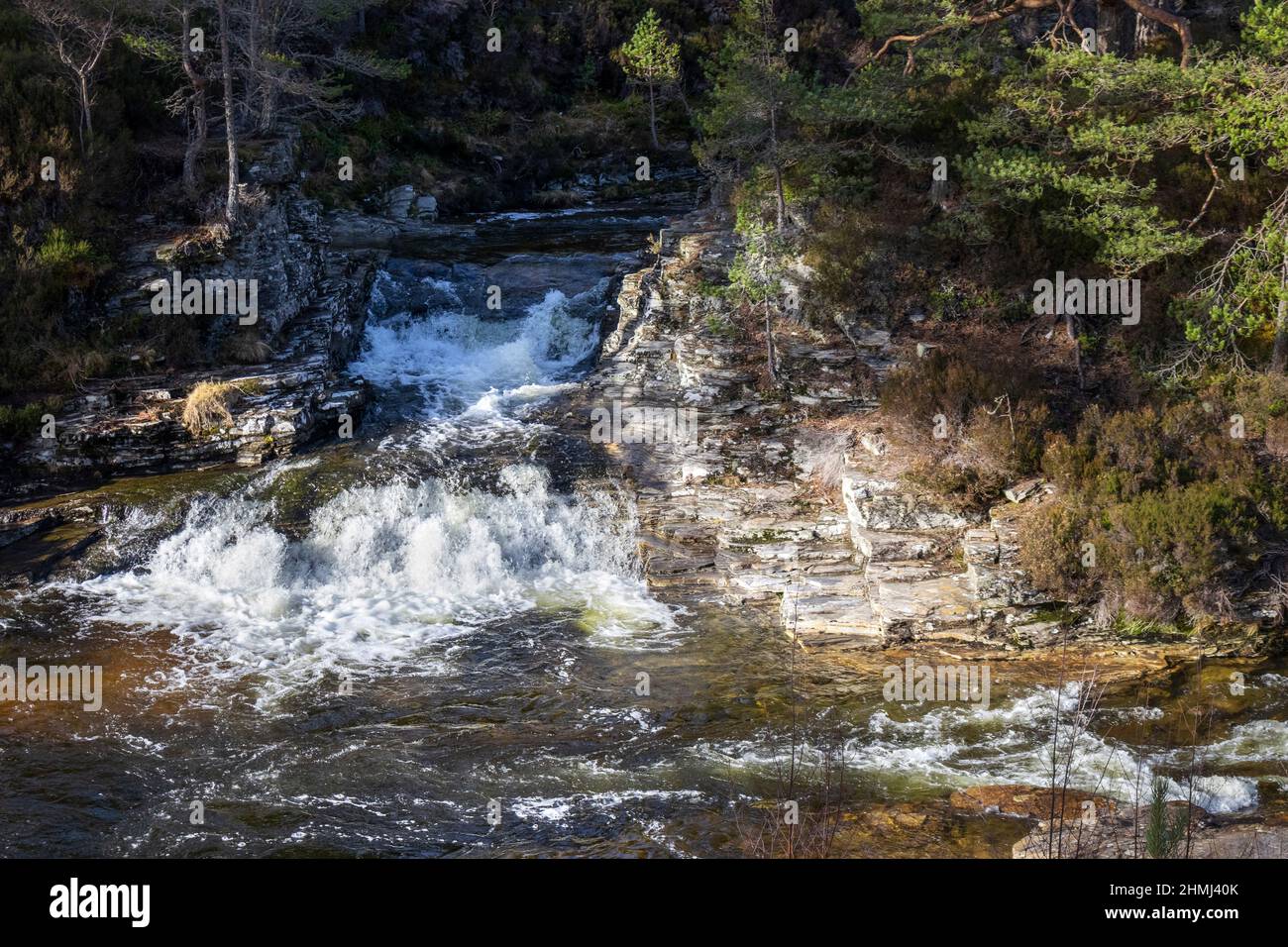 RIVER LUI MAR LODGE ESTATE BRAEMAR SCOTLAND SCOTS PINES Pinus ...