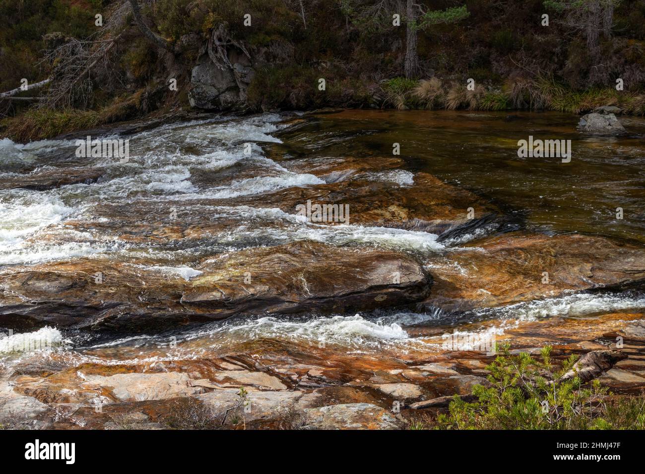 RIVER LUI MAR LODGE ESTATE BRAEMAR SCOTLAND WHITE WATER OVER COLOURFUL ...