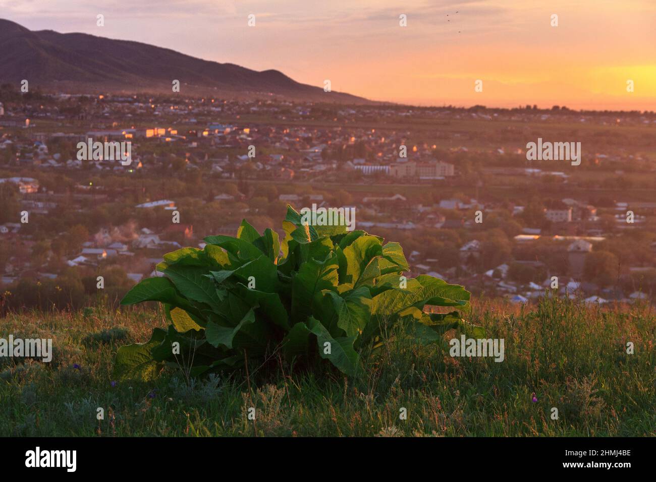 Sunset over the city of Talgar. View from the surrounding hills Stock ...
