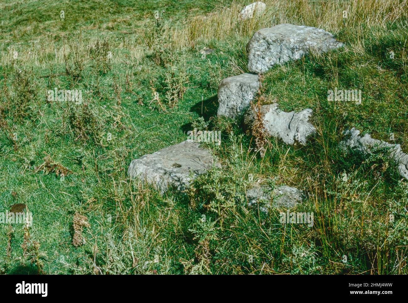 Bremenium - an ancient Roman fort (castrum) located at Rochester ...
