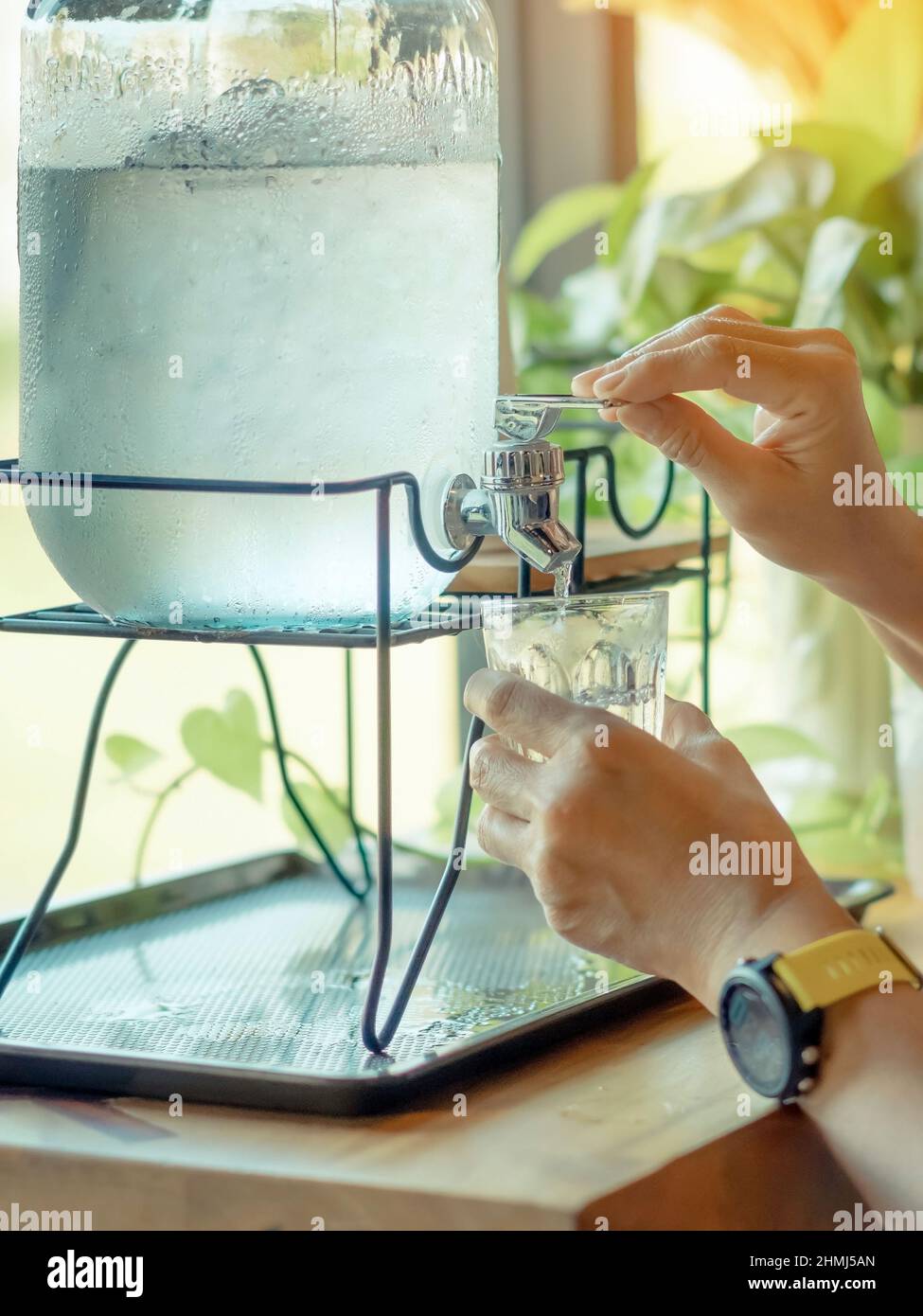 Hand of thirsty woman press the drinking cool water into a clear glass ...