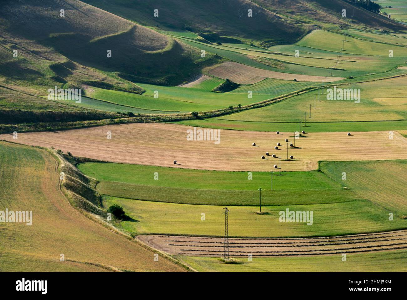 Beautiful valley with green agricultural fields in summer Stock Photo ...