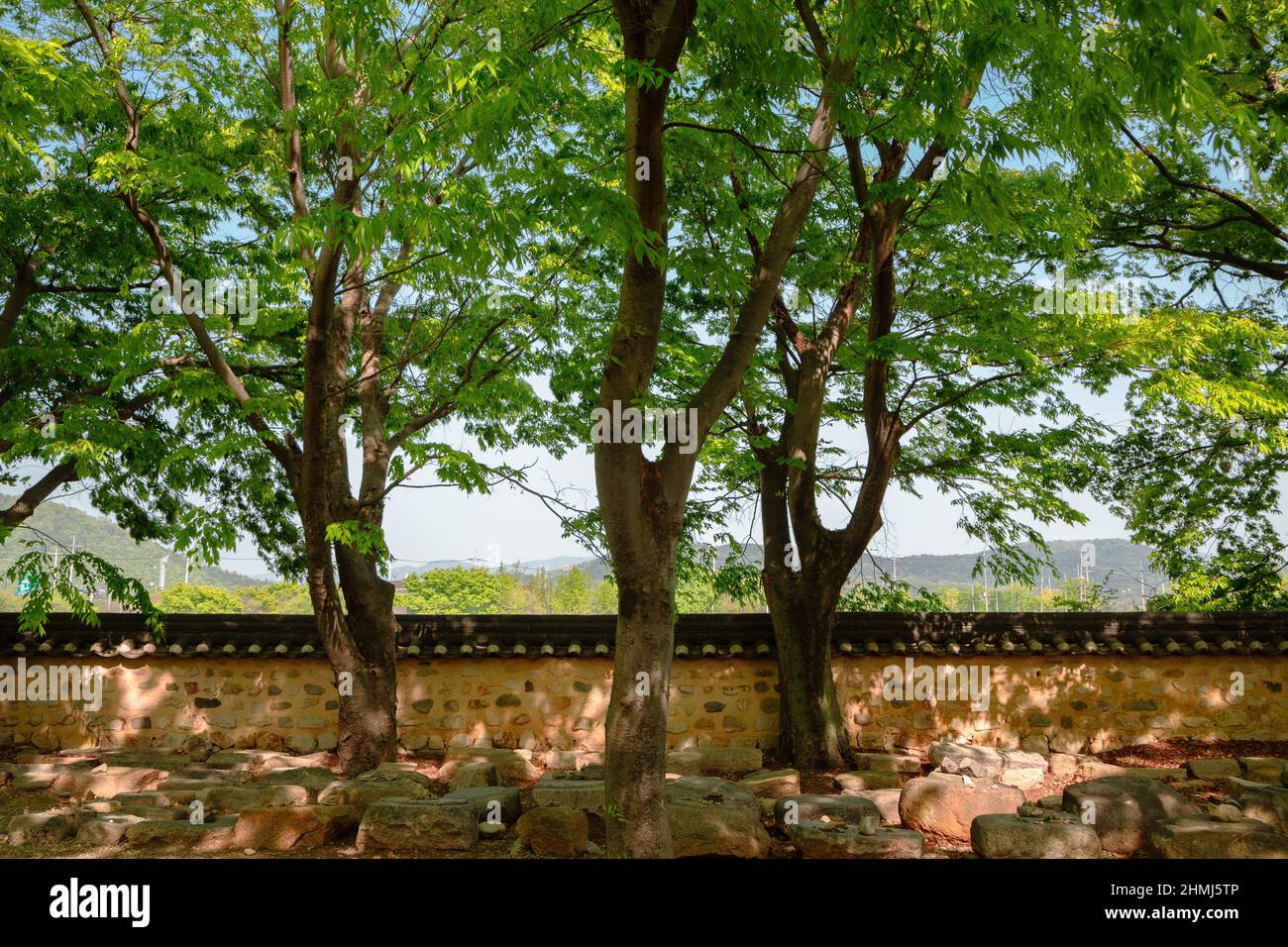 Green forest and traditional wall at Bunhwangsa temple in Gyeongju ...