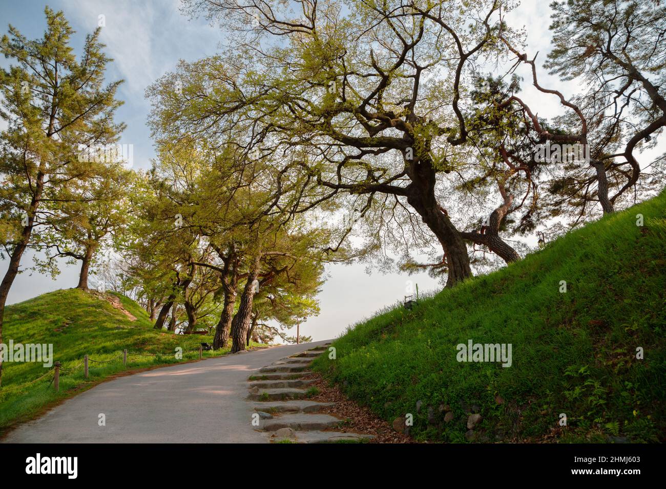 Banwolseong Fortress green forest road in Gyeongju, Korea Stock Photo - Alamy