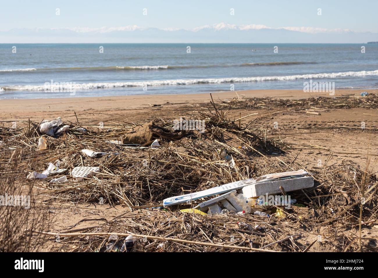 Various garbage on beach: plastic bottles, paper, broken branches and ...