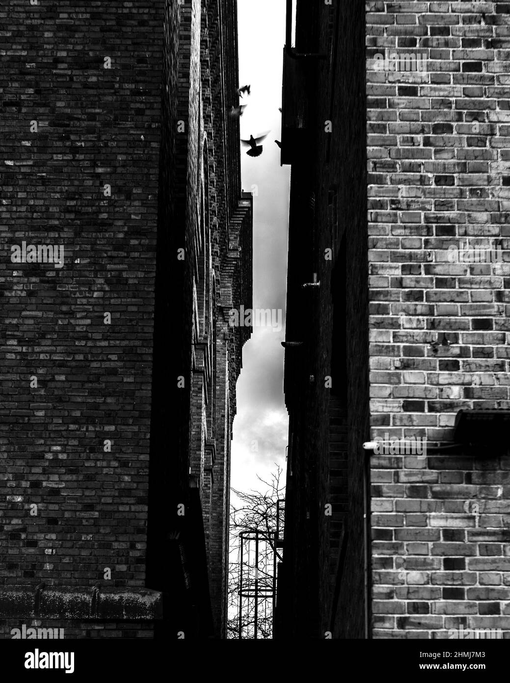 Grayscale shot of a narrow space between the two high buildings on a ...