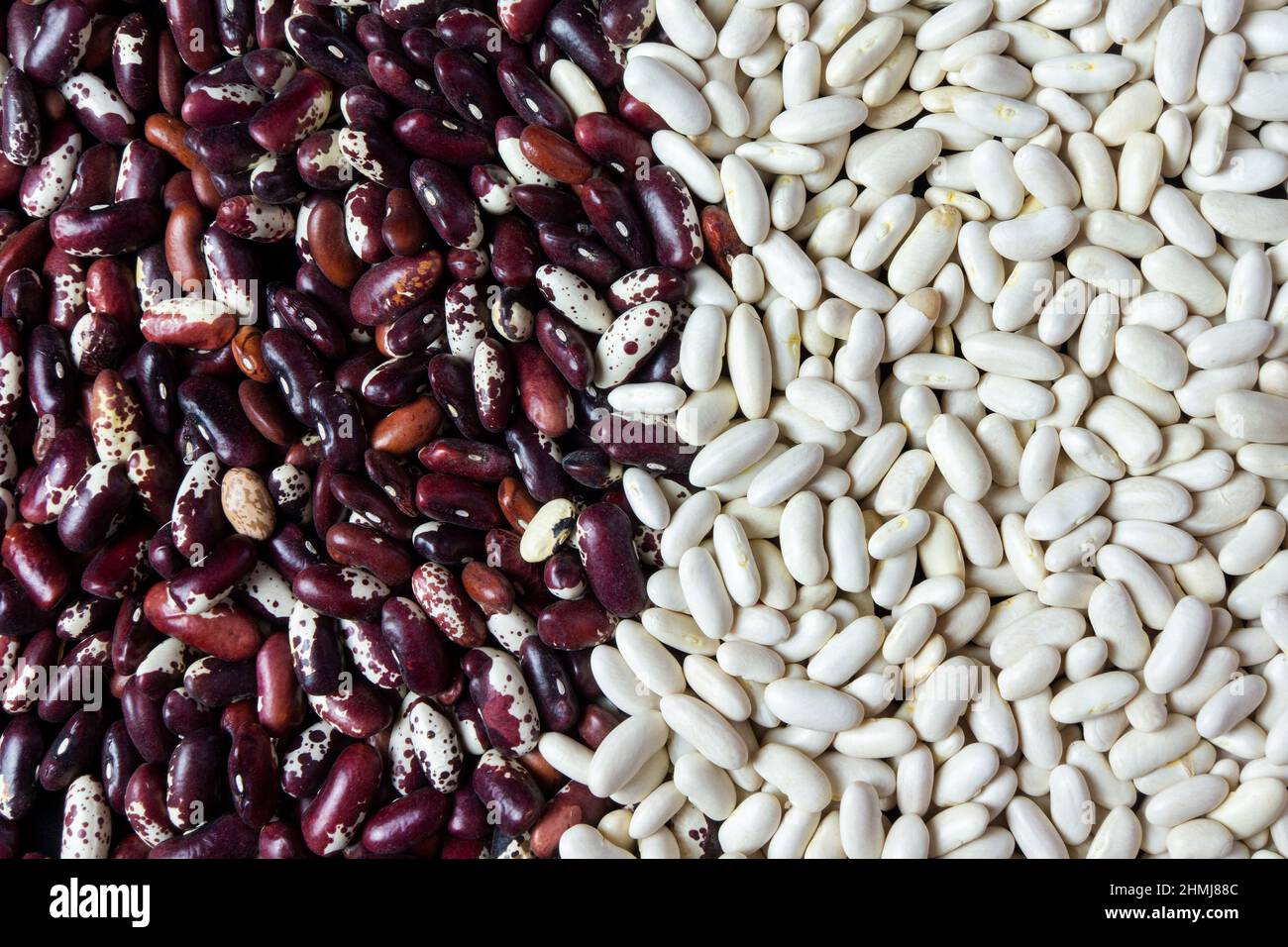 Types of beans hi-res stock photography and images - Alamy
