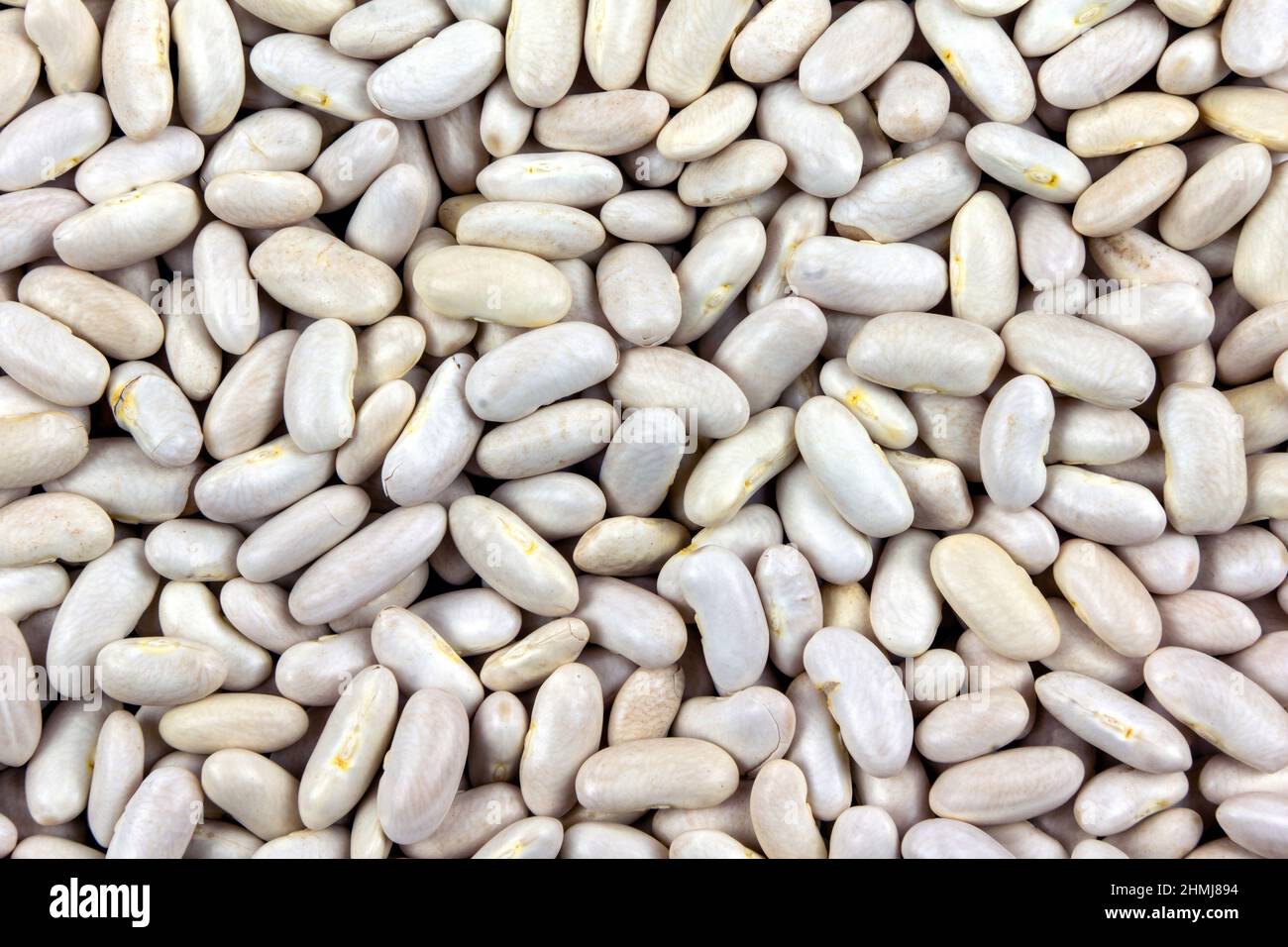 White type hi-res stock photography and images - Alamy