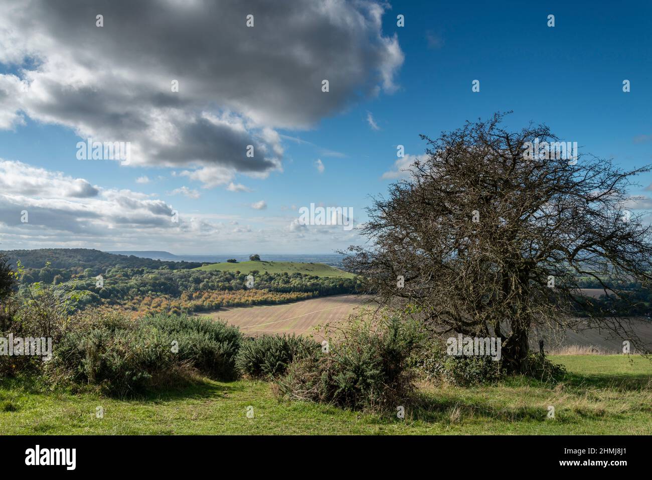 Boer war monument hi-res stock photography and images - Alamy