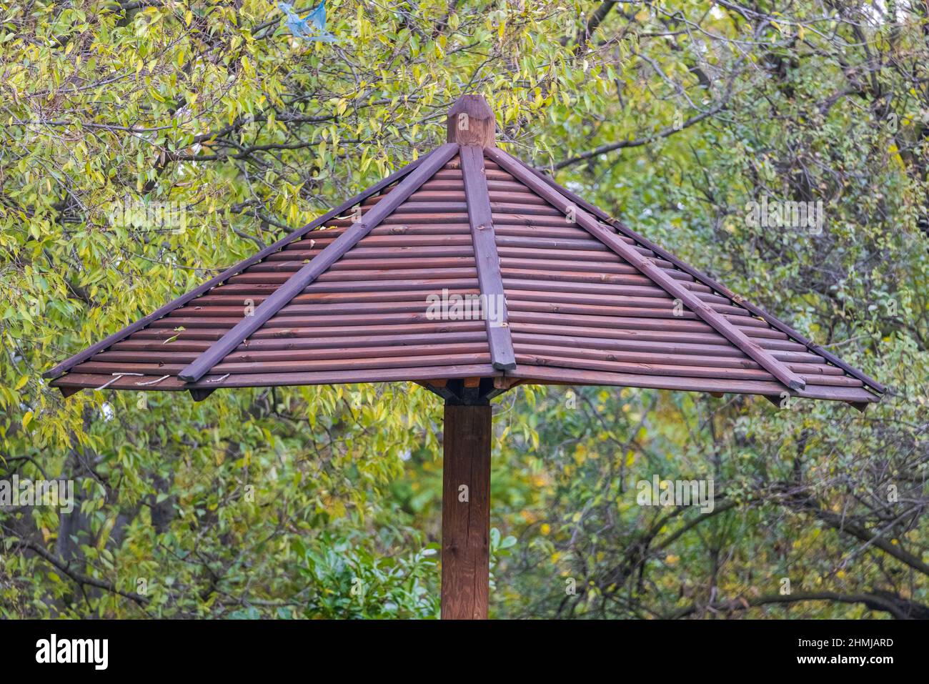 Big Wooden Parasol Structure in Green Park Stock Photo - Alamy