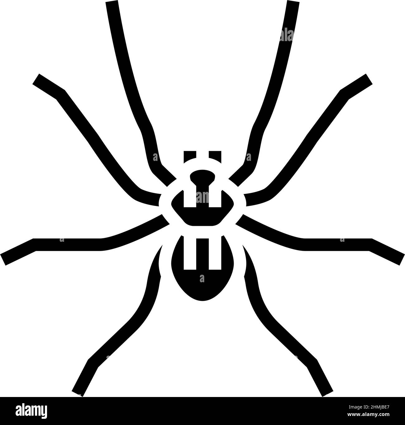 spider insect glyph icon vector illustration Stock Vector Image & Art ...