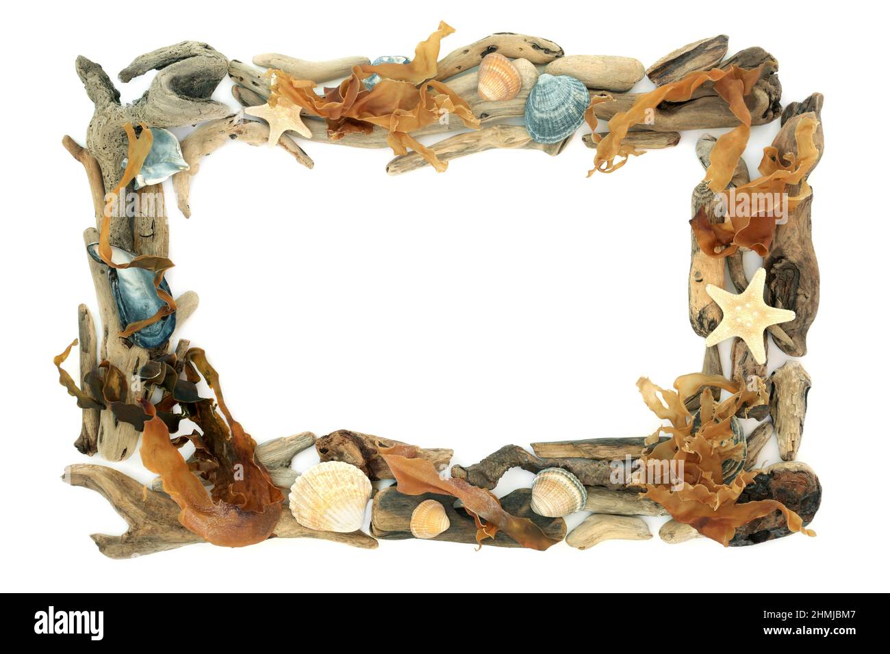 Driftwood seaweed and sea shell abstract background border composition ...