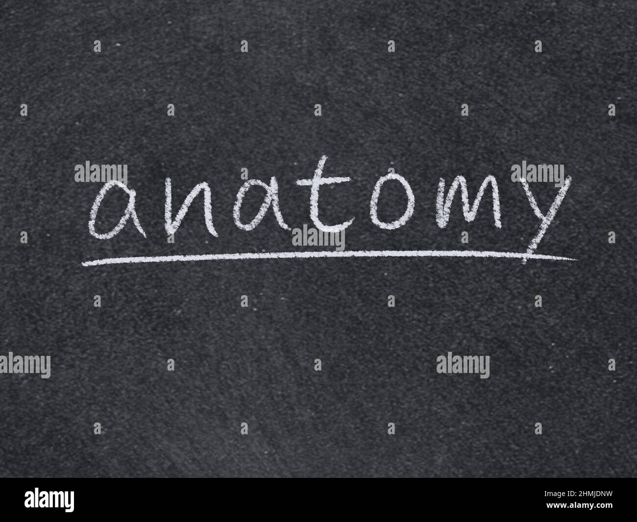 anatomy concept word on blackboard background Stock Photo - Alamy