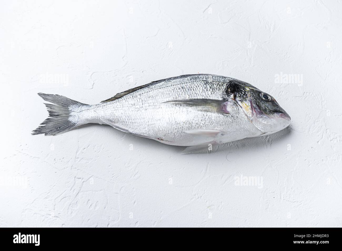 Raw sea bream or Gilt head bream dorada fish on white background, side ...