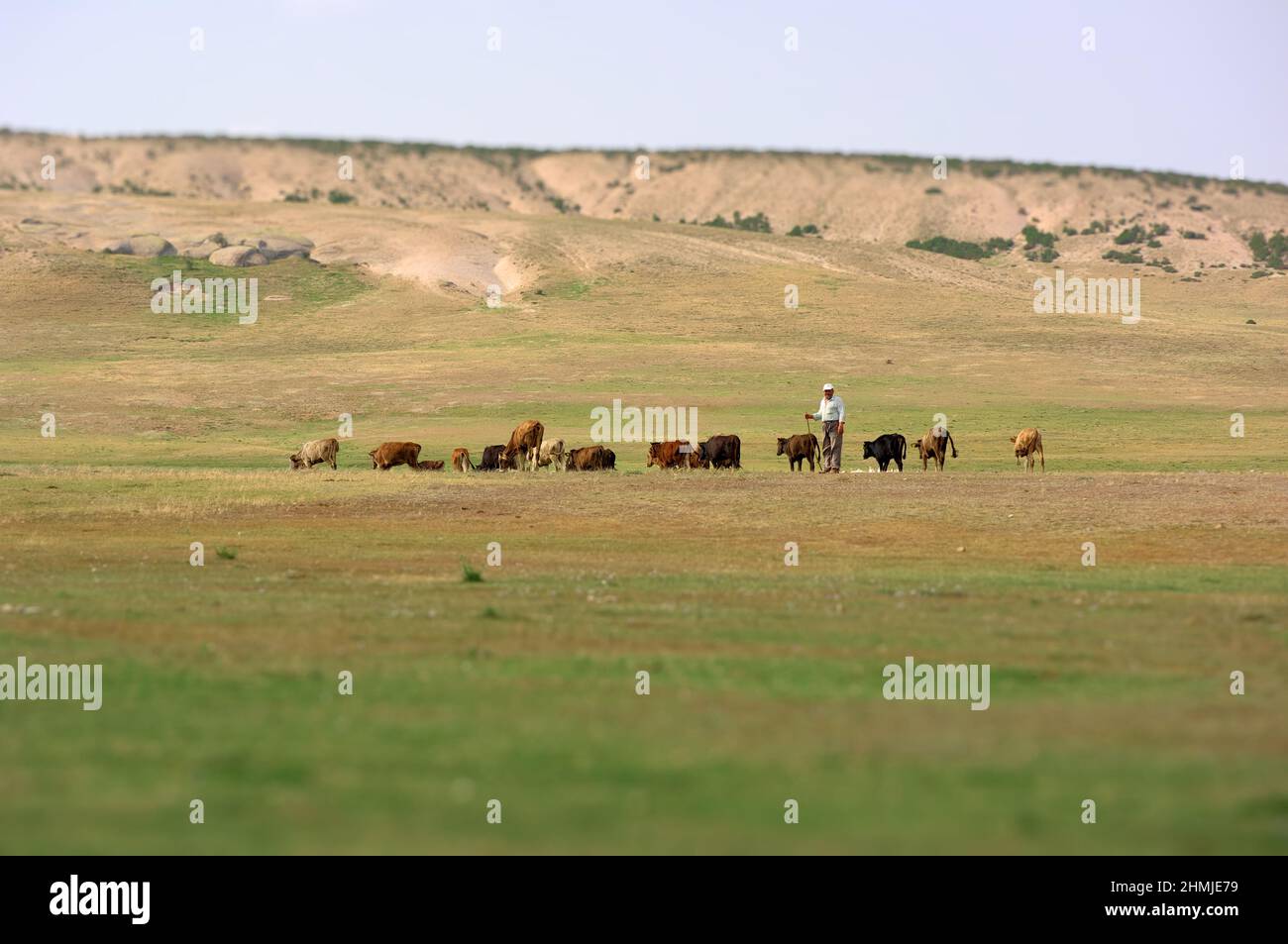 Central anatolia farmer hi-res stock photography and images - Alamy