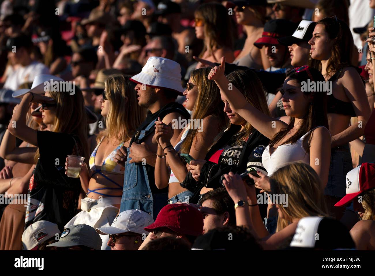 Busch light hi-res stock photography and images - Alamy