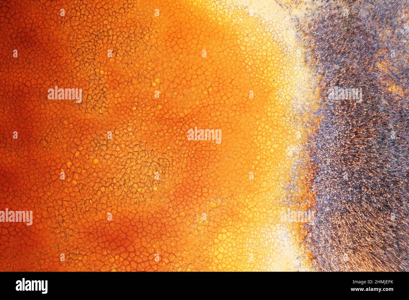 Toxic emissions into the water, bad environment. The impact of ...