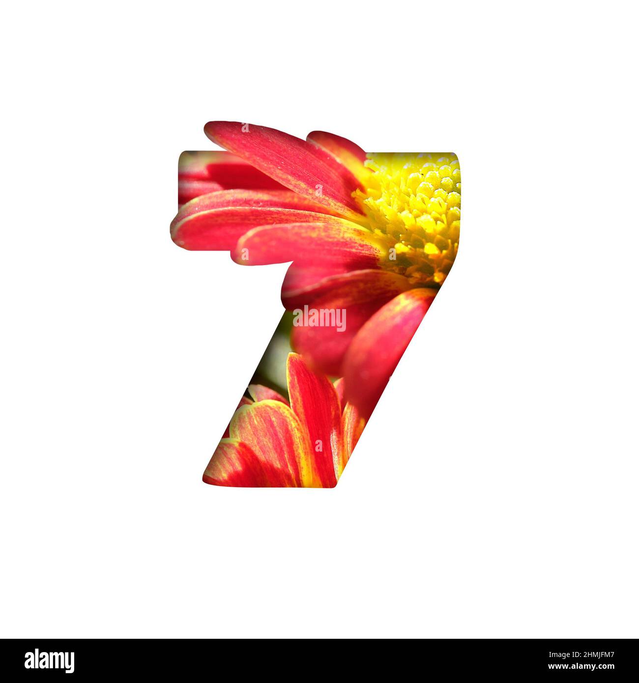 Number seven shape with chrysanthemum flowers cut out of white ...