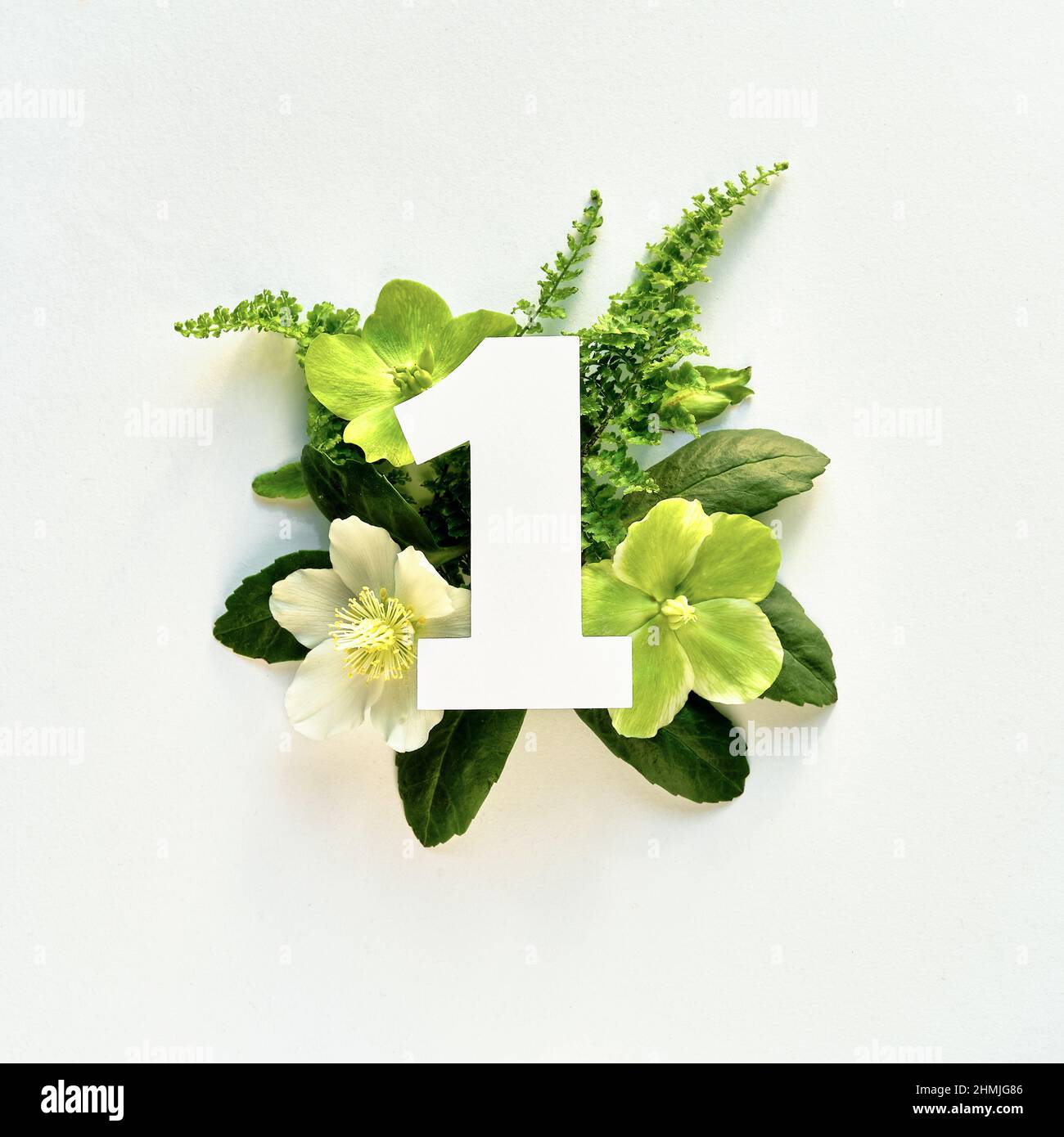 Number 1 leaves hi-res stock photography and images - Alamy