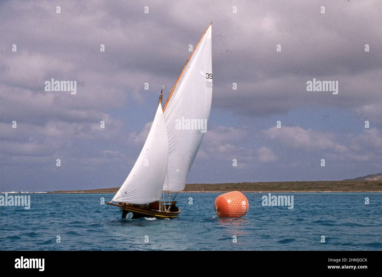 Latin sail regattas in Stintino, Sardinia, Italy (scanned from ...