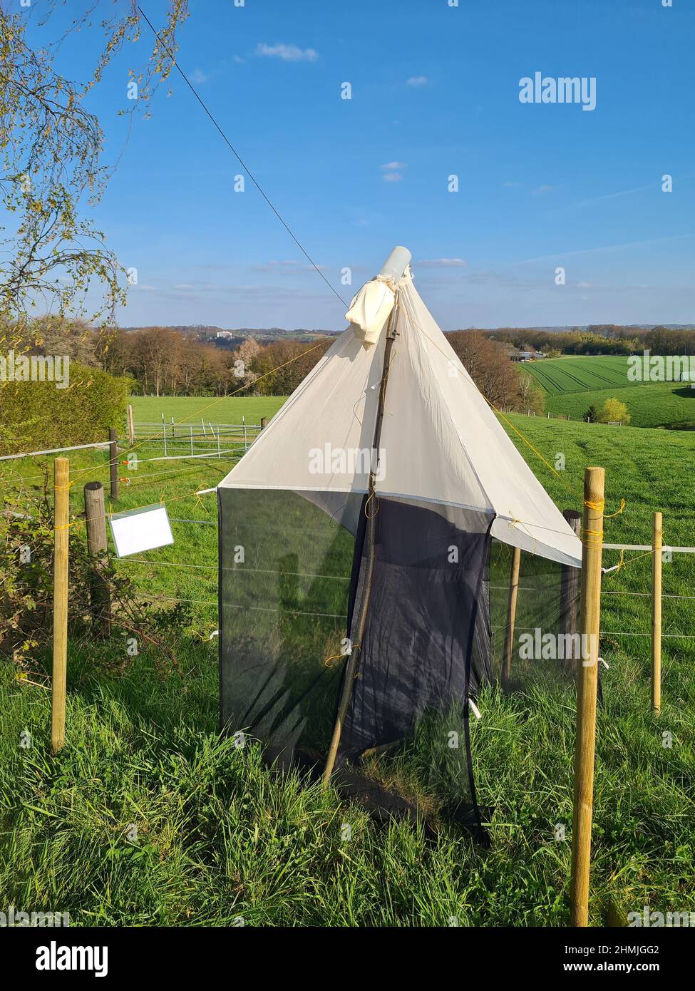 Entomologists, insect scientists who collect moths, beetles and other ...