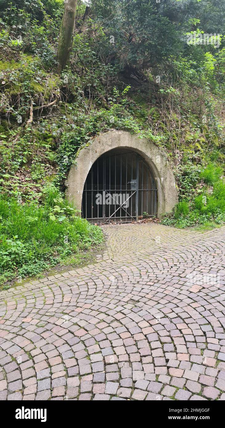 Tunnel entrance to an old mine Stock Photo - Alamy