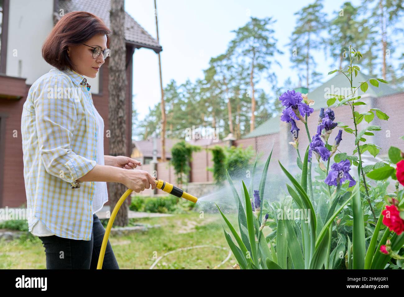 Woman watering flower bed rose hi-res stock photography and images - Alamy