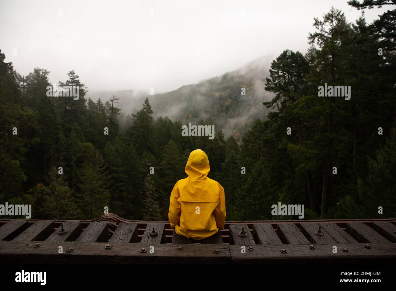 Goldstream trestle hi-res stock photography and images - Alamy