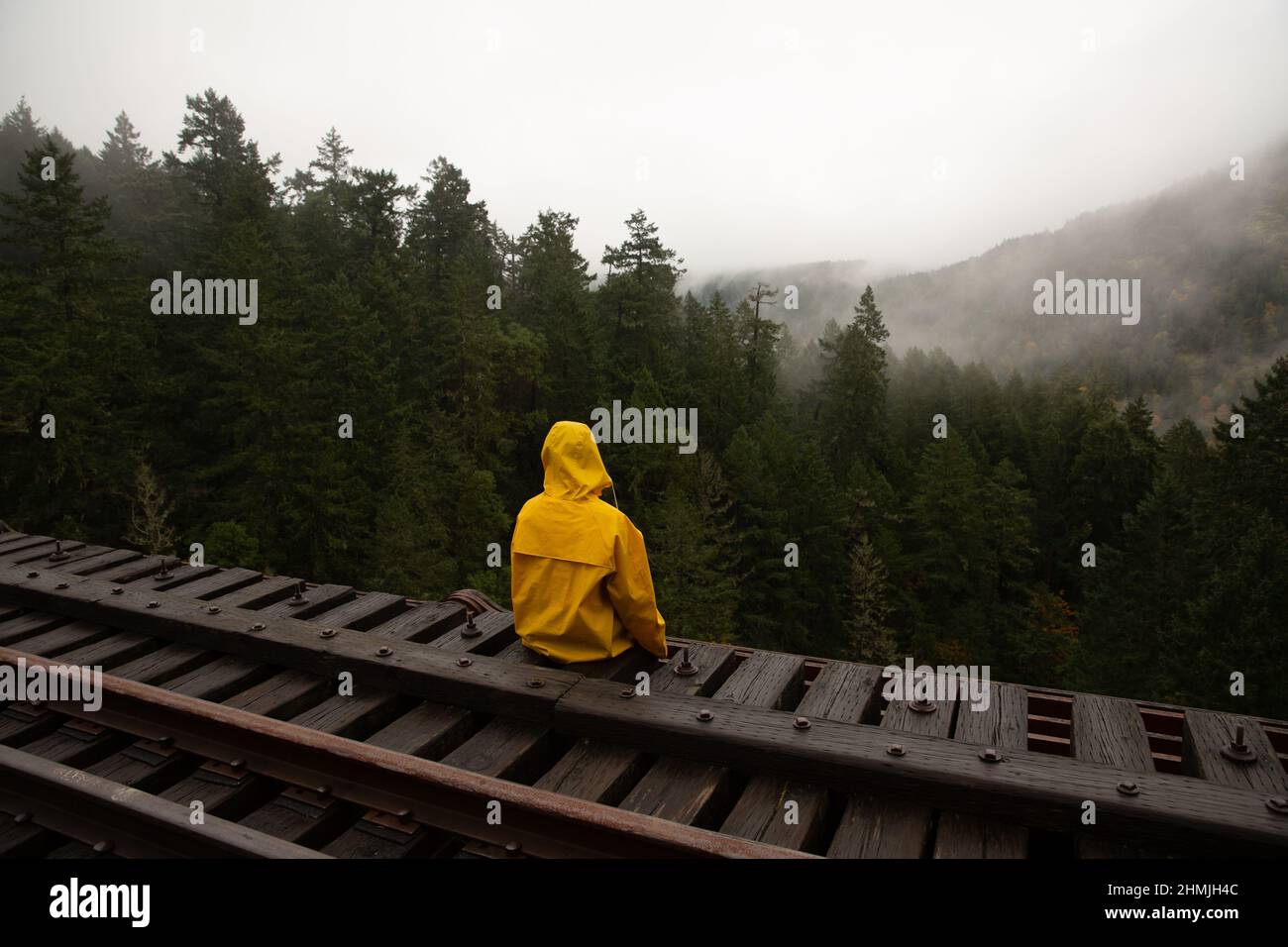 Goldstream trestle hi-res stock photography and images - Alamy