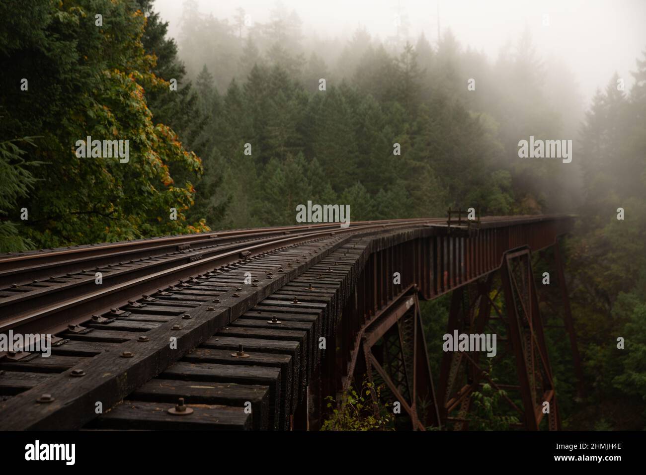 Spooky Goldstream train tracks in Vancouver Island Stock Photo - Alamy