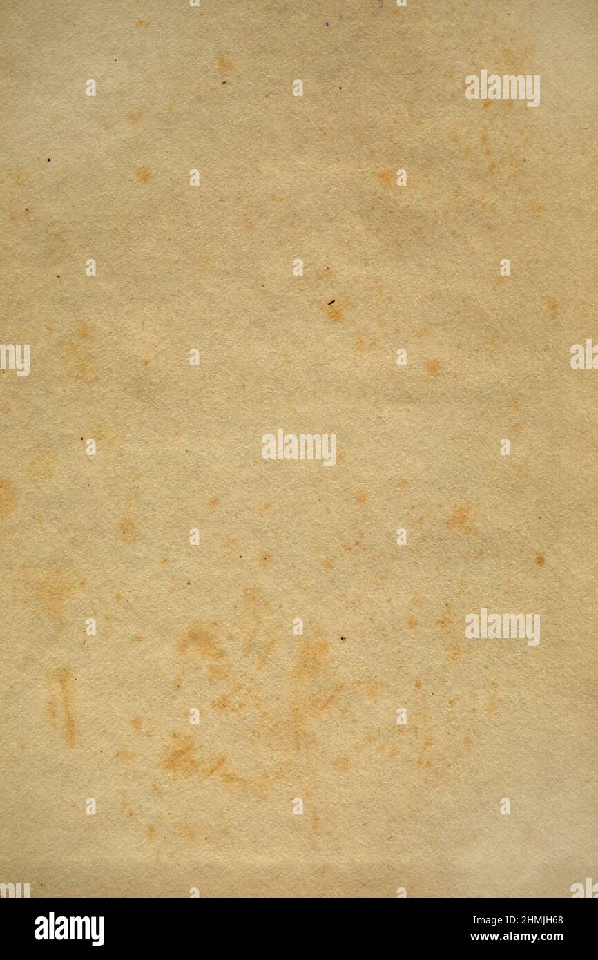 Paper texture from an old book. Yellow sheet of natural background ...