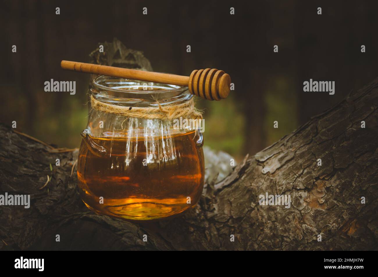 Jar of fresh honey and honey spoon on pine tree in woods.Healthy food ...