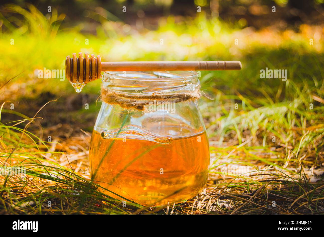 Spoon for honey and jar with fresh honey on summer green glade.Healthy ...