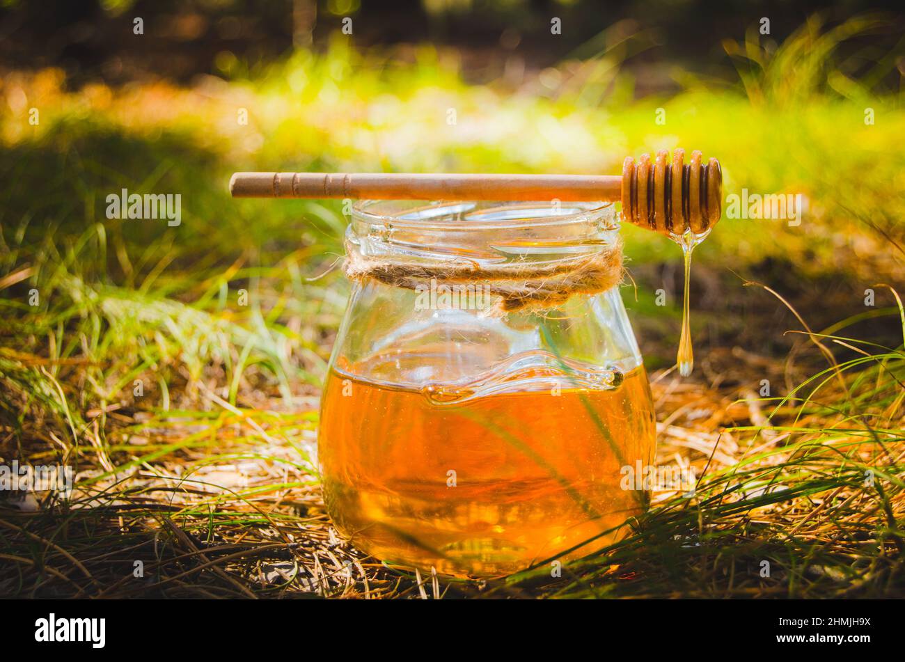 Spoon for honey and jar with fresh honey on summer green glade.Healthy ...