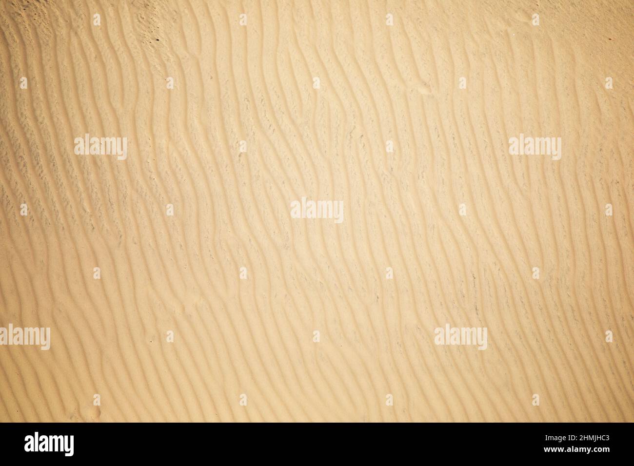 Pure yellow sand in the desert. Abstract background or texture Stock ...